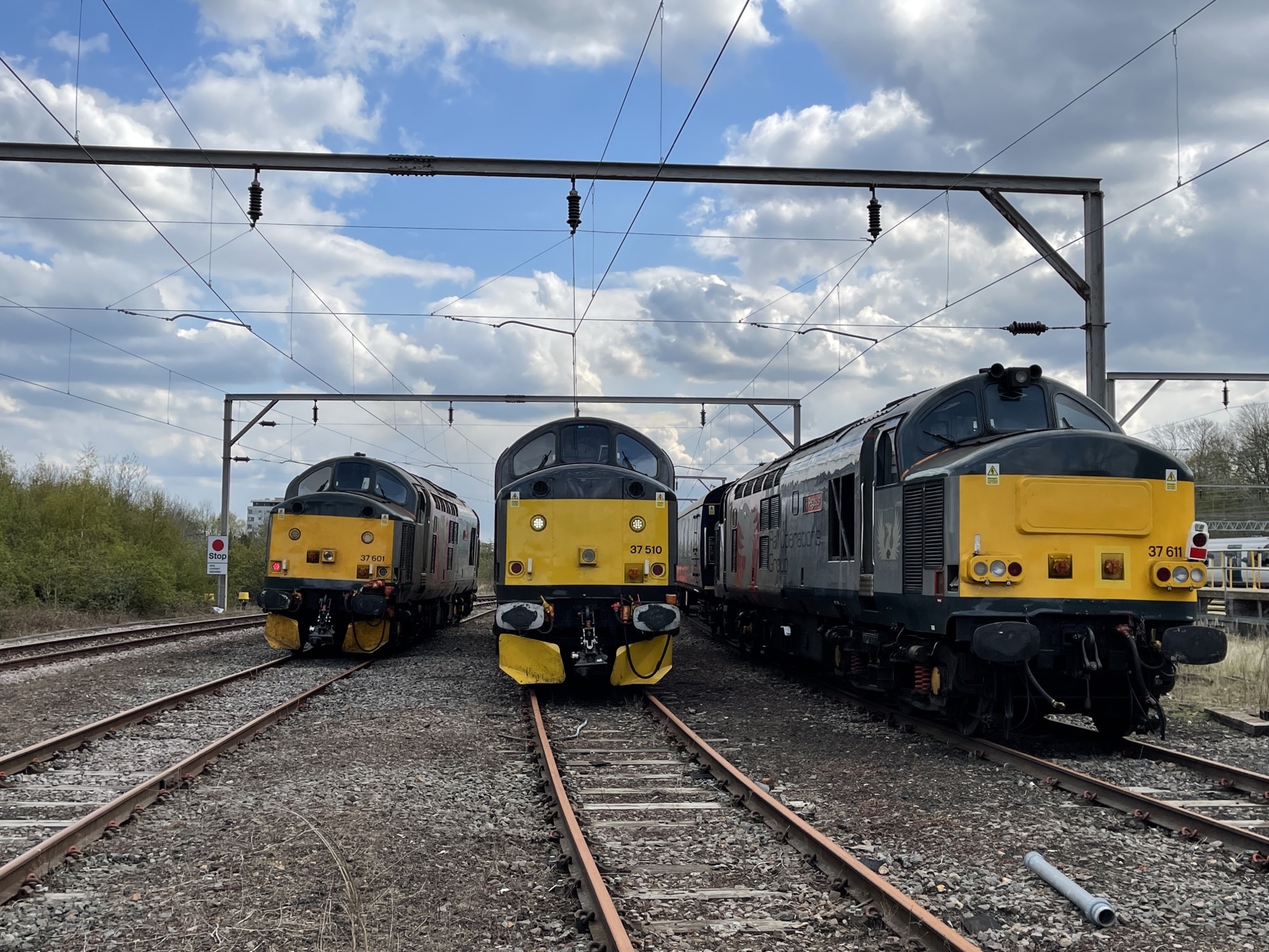 Gallery - Europhoenix